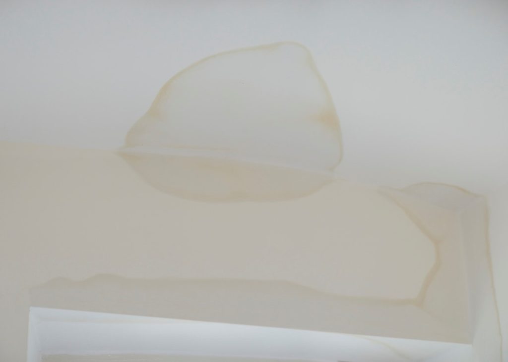 Damp, Mould And Condensation | Pine Court Housing Association